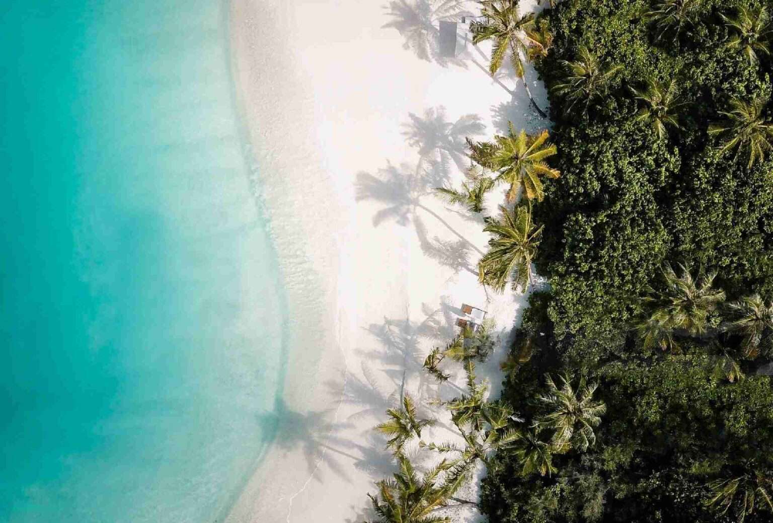 Baga Beach: The Ultimate Guide to Goa’s Most Iconic Beach Destination ...