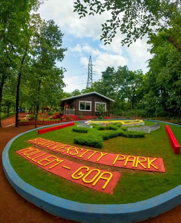 Mollem National Park – Goa’s Wild Paradise - Goa Travel Heaven