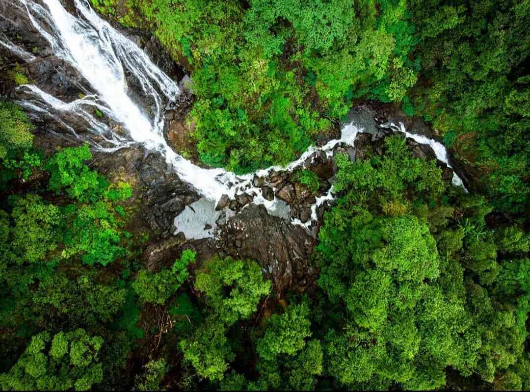Mollem National Park – Goa’s Wild Paradise - Goa Travel Heaven