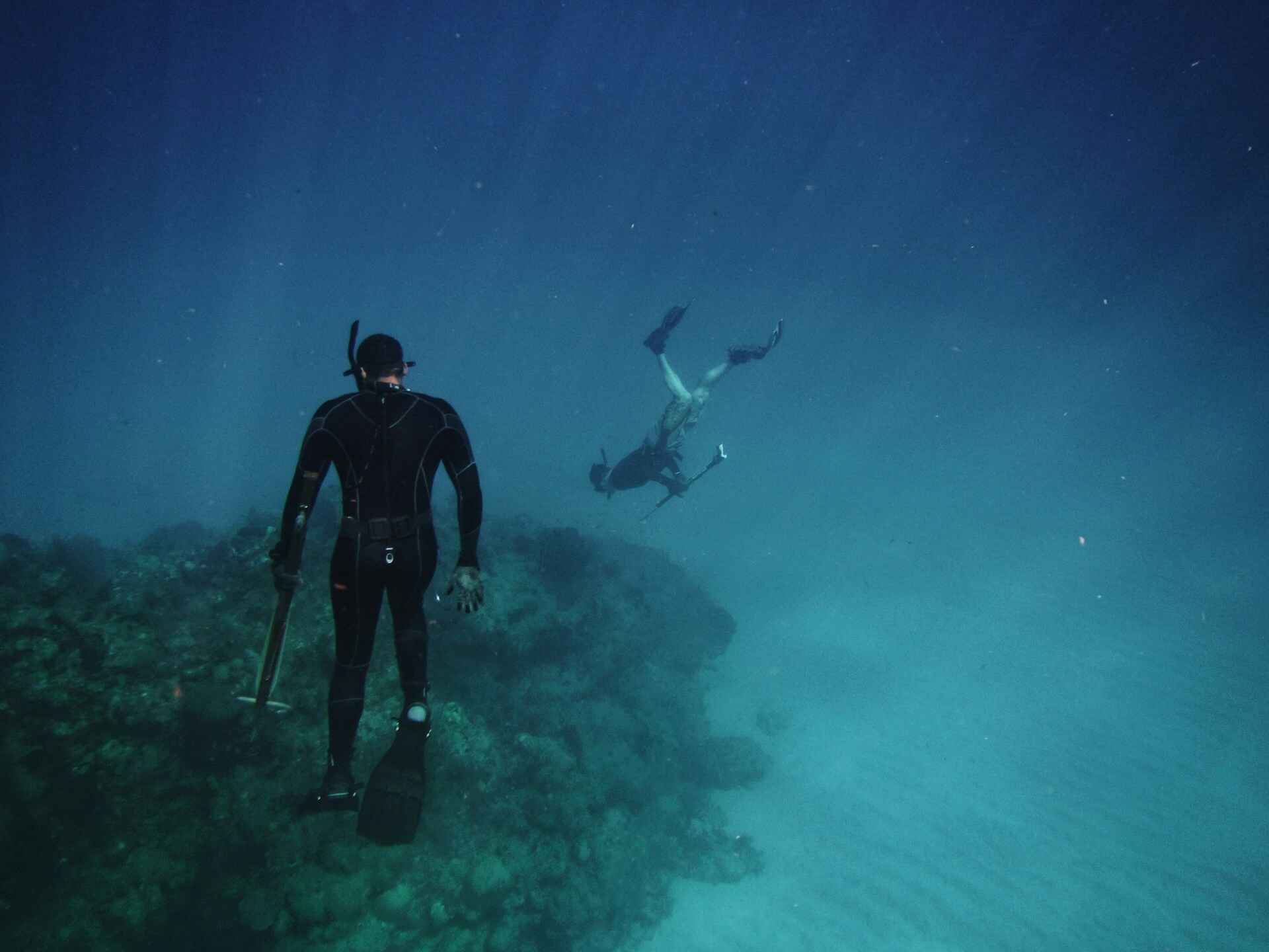 Scuba Diving in Goa: Explore the Best Underwater Adventures and Dive ...