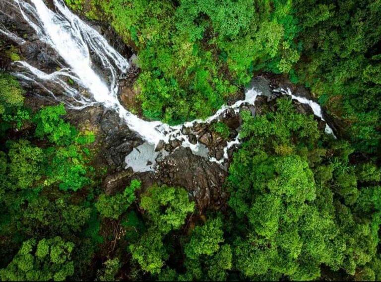 Mollem National Park – Goa’s Wild Paradise - Goa Travel Heaven