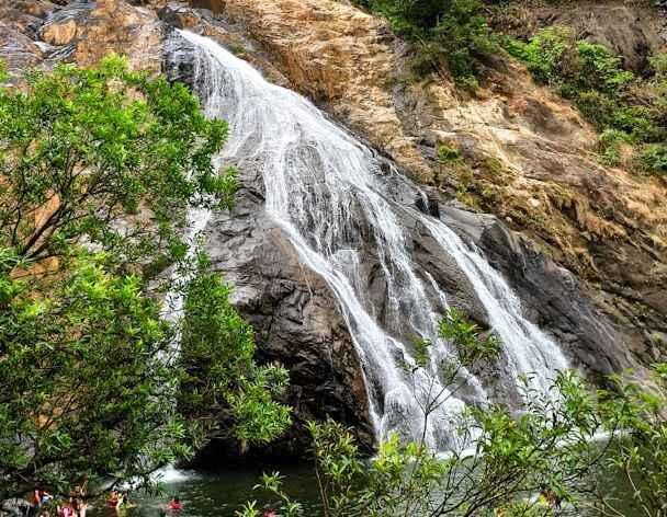 Dudhsagar Waterfalls: Your Ultimate Guide to Goa's Iconic WATERFALL ...